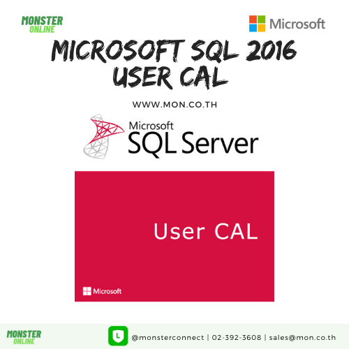 Microsoft SQL 2016 User CAL (สำหรับใช้งานในธุรกิจ) — Monster Online